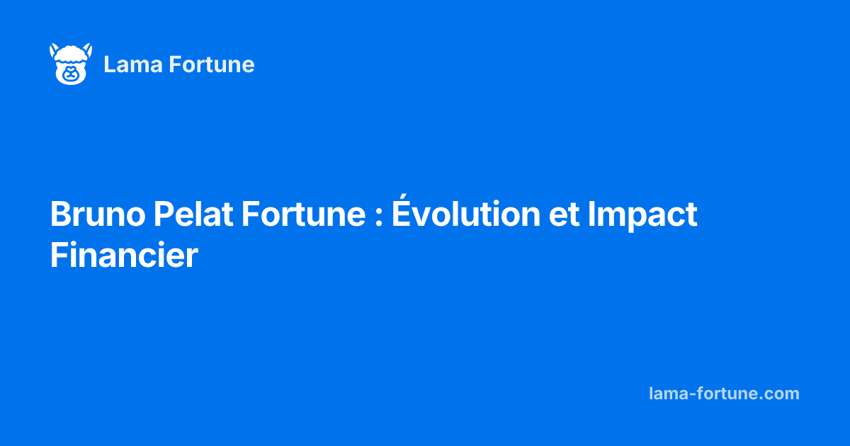 Bruno Pelat Fortune : Évolution et Impact Financier